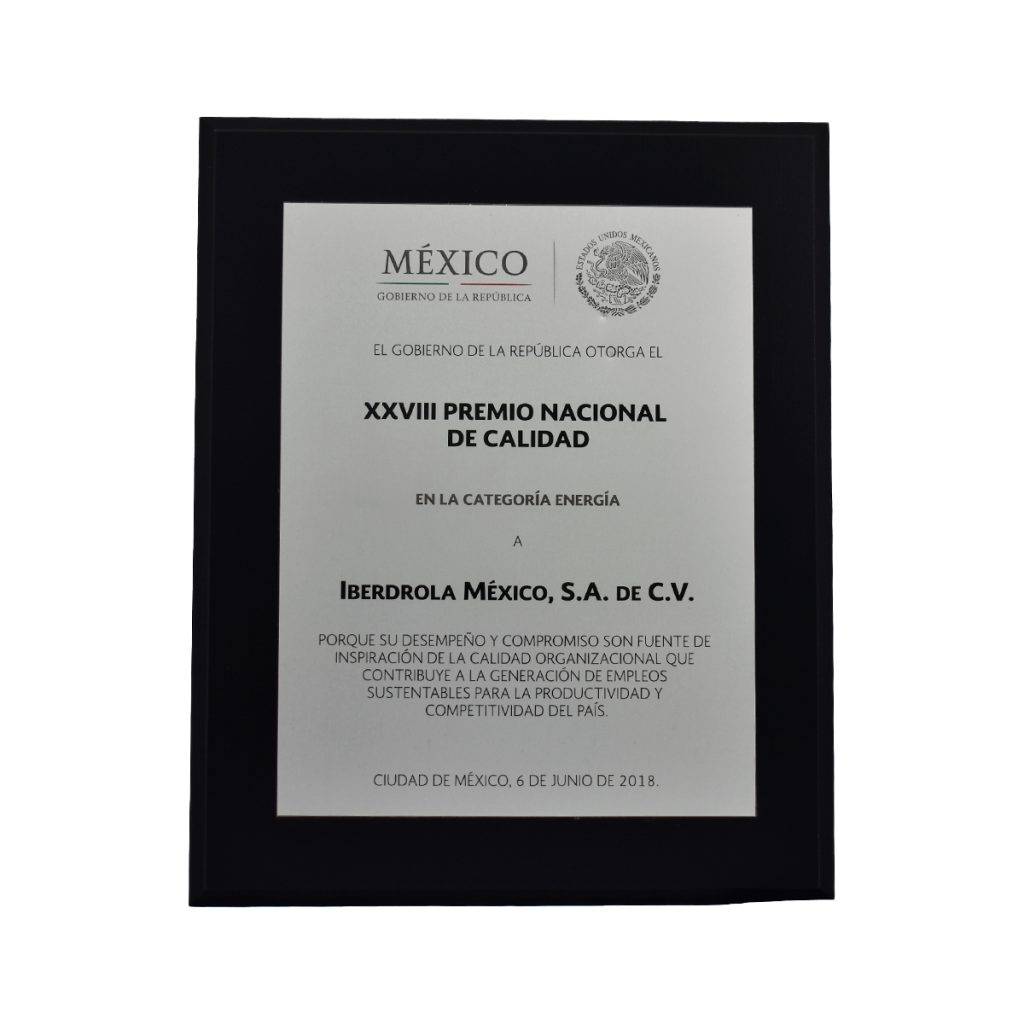 Premio Nacional De Calidad 2019 Iberdrola México 