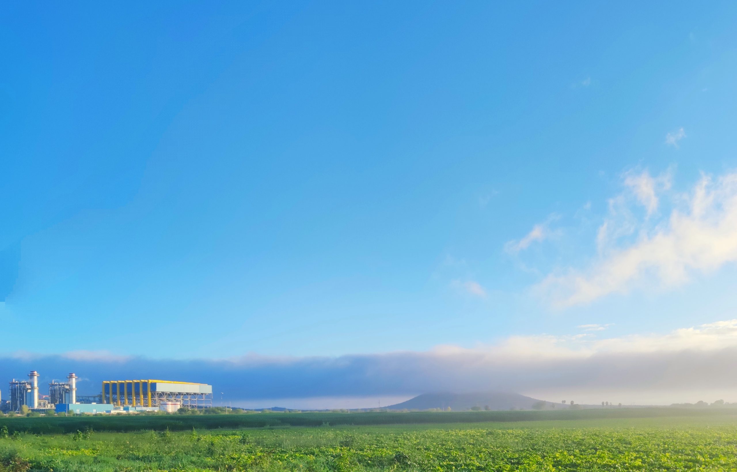 Día Mundial de la Fotografía | Iberdrola México