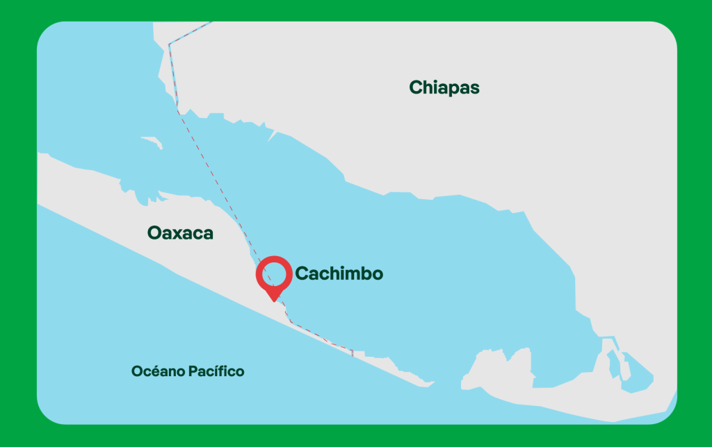 Cachimbo: Paraíso iluminado | Iberdrola México